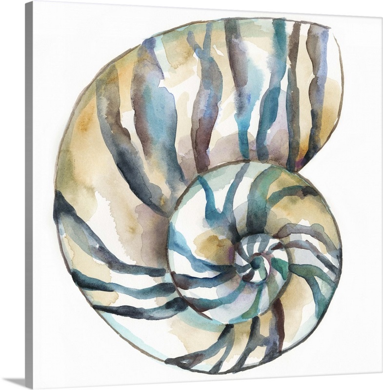Aquarelle Shells II | Great Big Canvas