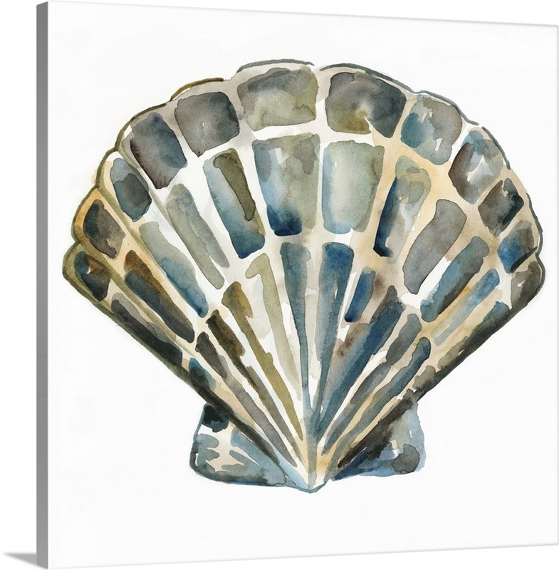Aquarelle Shells IV | Great Big Canvas