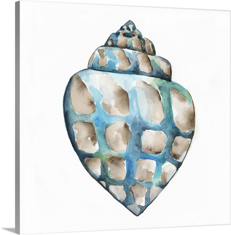 Aquarelle Shells V | Great Big Canvas