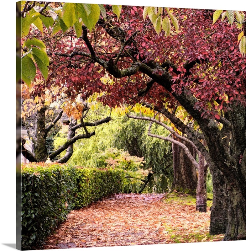 Arch of Trees | Great Big Canvas