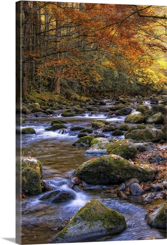 Autumn on Little River | Great Big Canvas