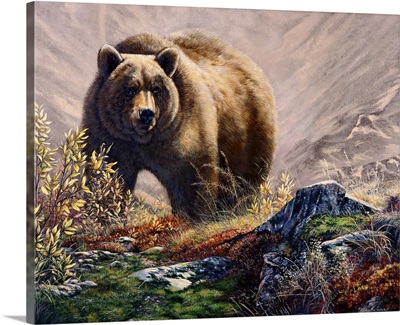 Bear Art - Bear Drawings & Bear Paintings | Great Big Canvas