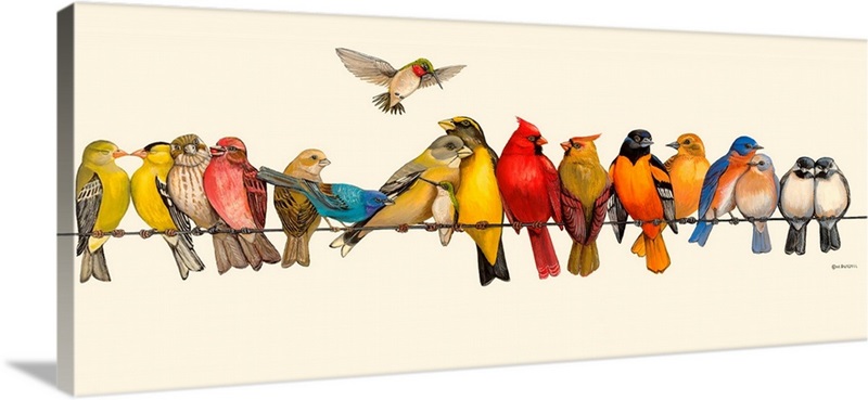 Bird Menagerie I | Great Big Canvas