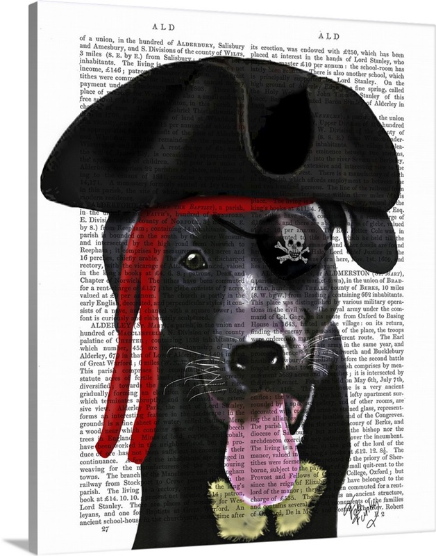 Black Labrador Pirate | Great Big Canvas