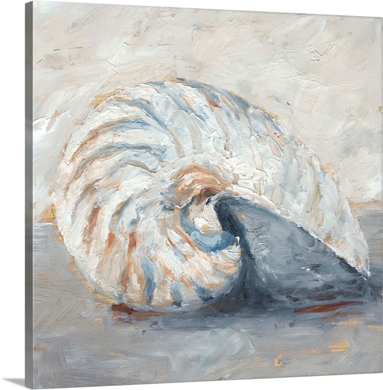 Blue Shell Study I | Great Big Canvas