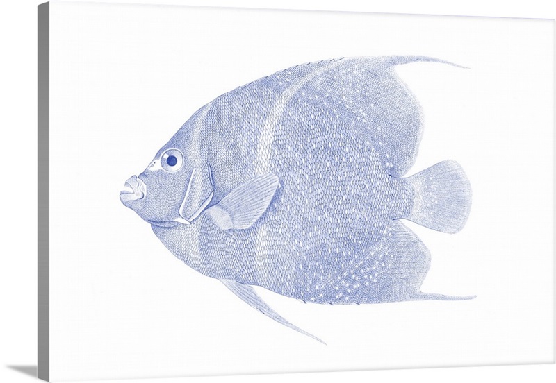Blue & White Tropical Fish V | Great Big Canvas