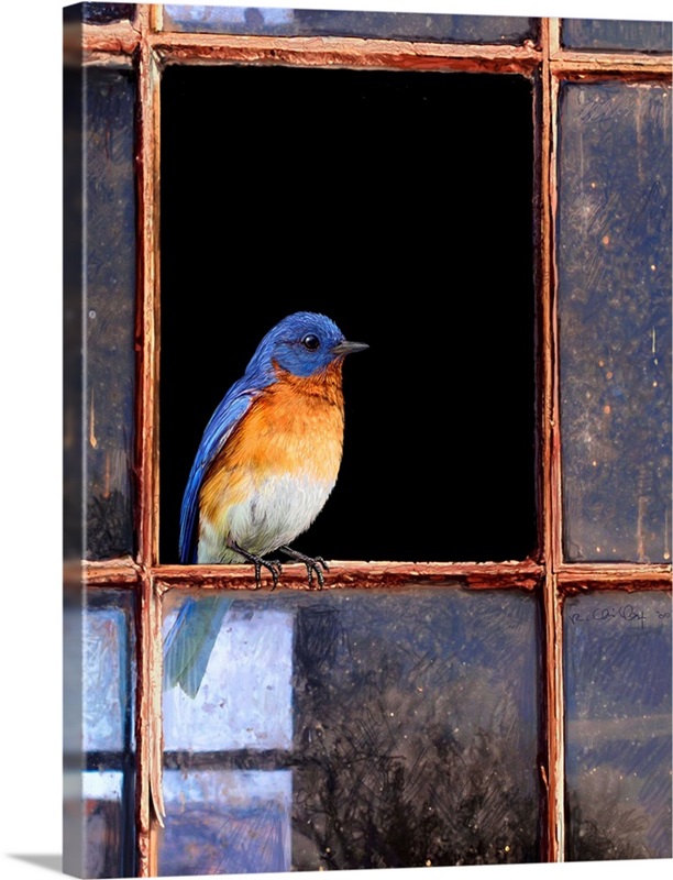 Bluebird Window | Great Big Canvas