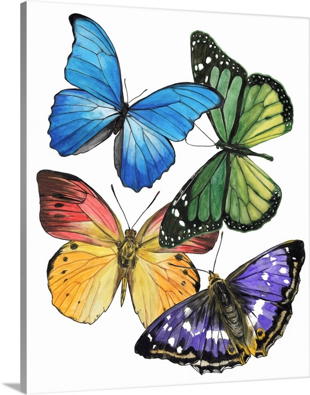 Butterfly Swatches II | Great Big Canvas
