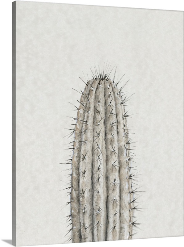 Cactus Study III | Great Big Canvas