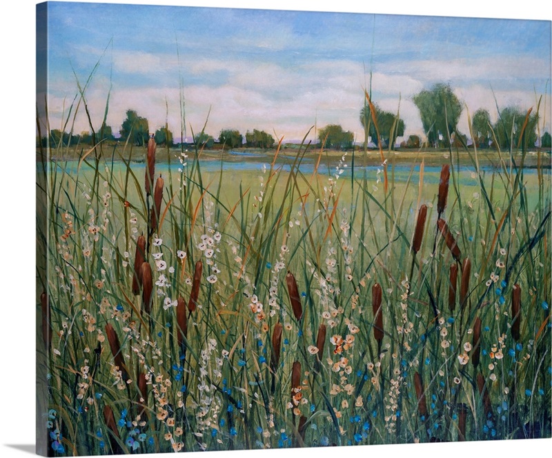 Cattail Marsh II | Great Big Canvas