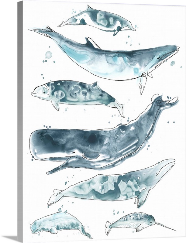 Cetacea II | Great Big Canvas