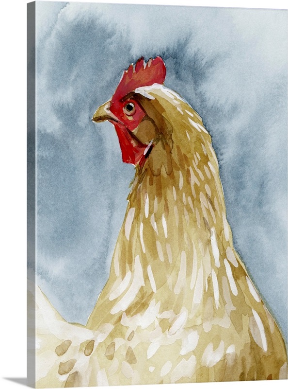 Chicken Portrait I | Great Big Canvas