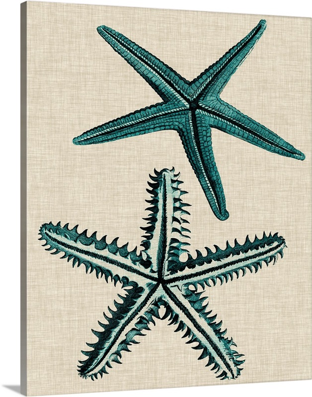 Coastal Starfish I | Great Big Canvas