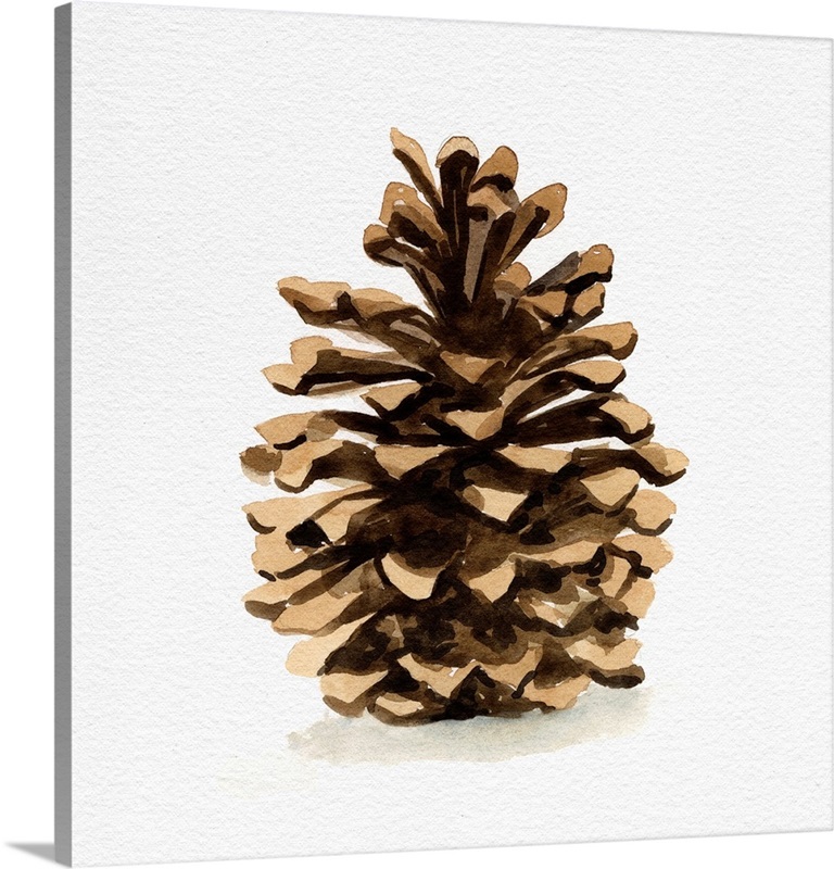 Conifer Cone I | Great Big Canvas