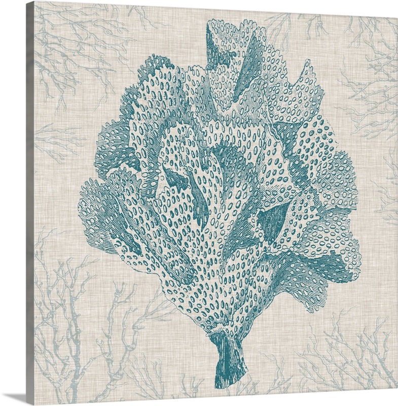 Coral Motif IV | Great Big Canvas