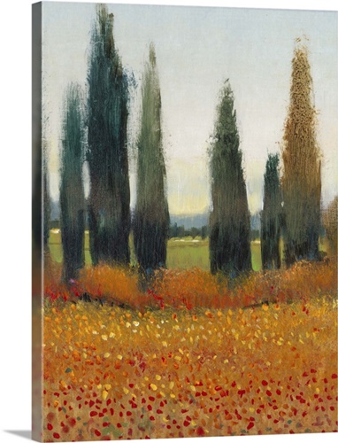 Cypress Trees I | Great Big Canvas