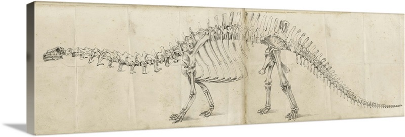 Dinosaur Study I | Great Big Canvas