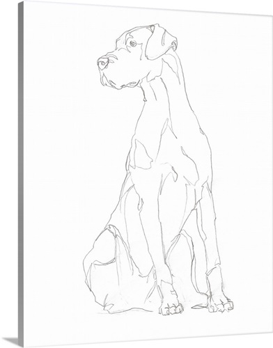 Dog Contour II | Great Big Canvas
