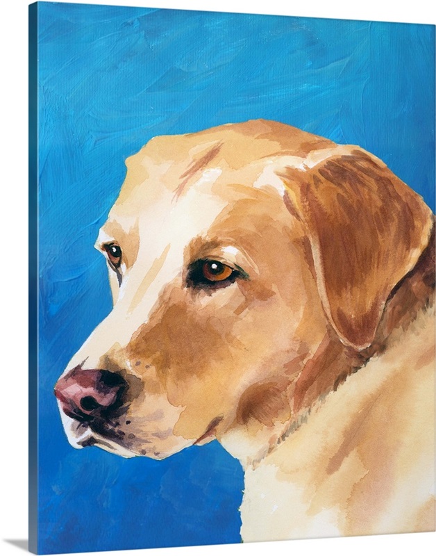 Dog Portrait - Yellow Lab | Great Big Canvas