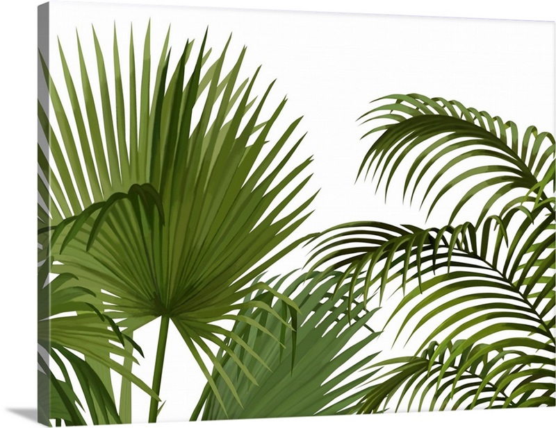 FabFunky Palm Collection A | Great Big Canvas