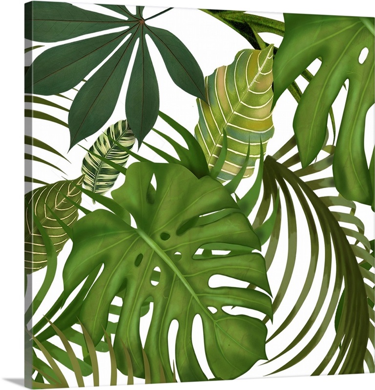 FabFunky Palm Collection D | Great Big Canvas