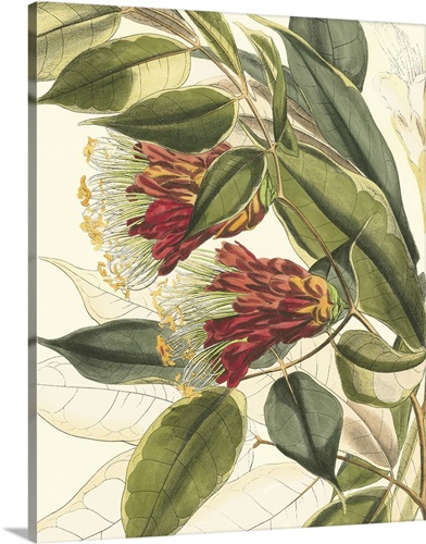 Fantastical Botanical II | Great Big Canvas