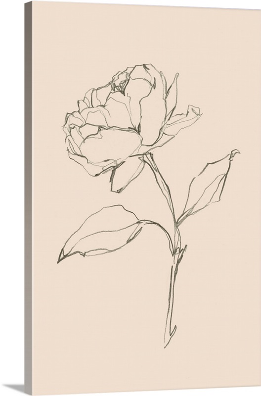 Floral Contour Study II | Great Big Canvas