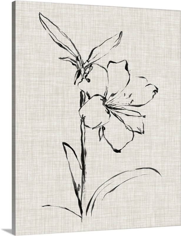 Floral Ink Study I | Great Big Canvas