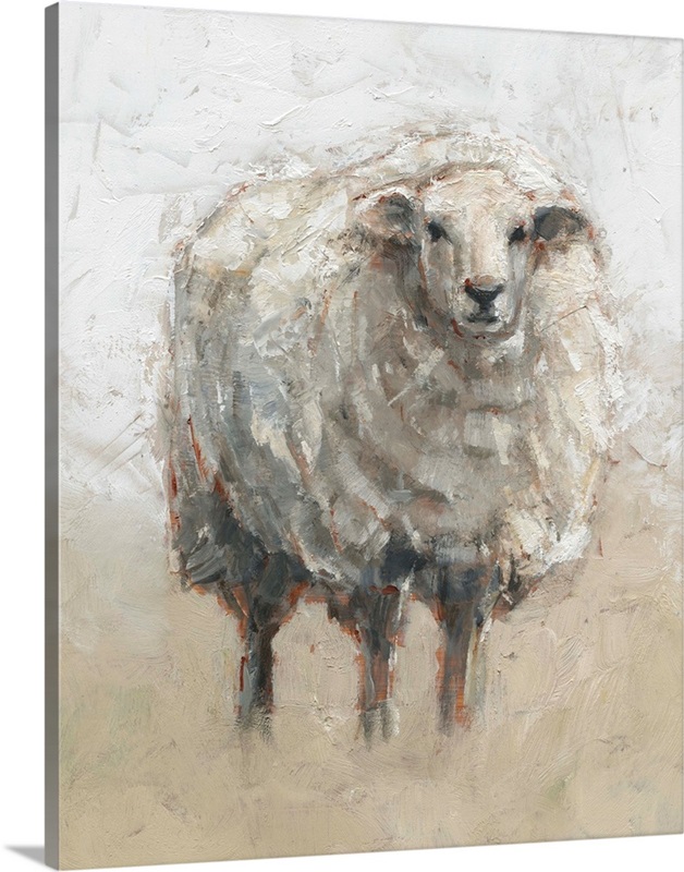 Fluffy Sheep II | Great Big Canvas