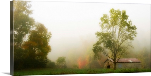 Fog at the Farm | Great Big Canvas