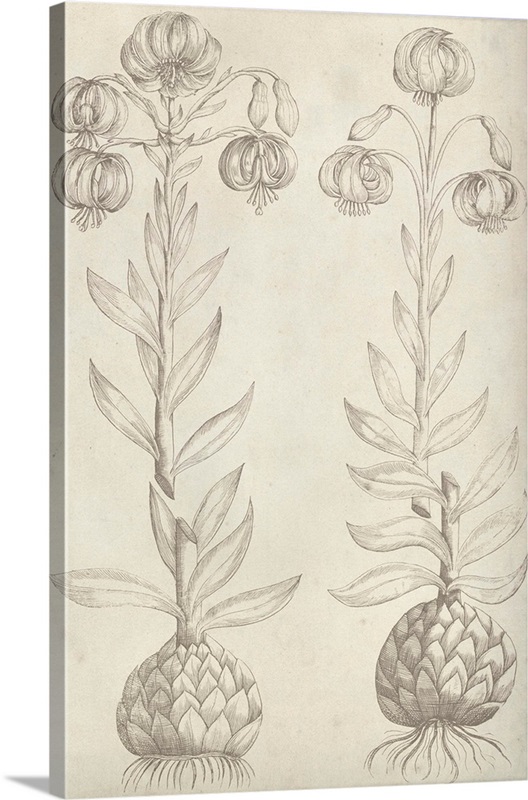 Fresco Floral II | Great Big Canvas