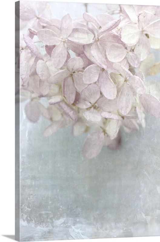 Frosted Over II | Great Big Canvas