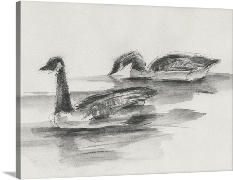 Geese Study II | Great Big Canvas