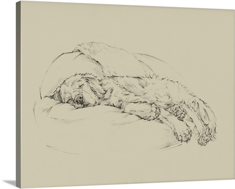 Golden Sketch I | Great Big Canvas