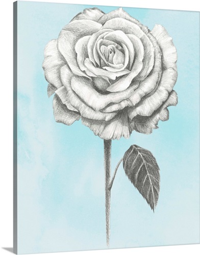 Graphite Rose III | Great Big Canvas