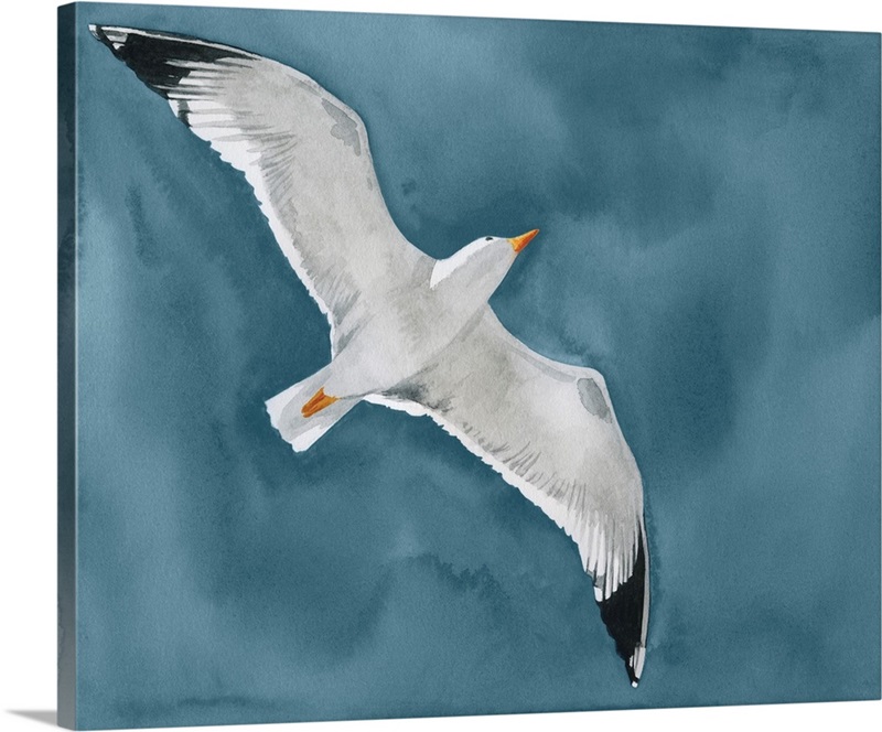 Gull In A Gale I | Great Big Canvas