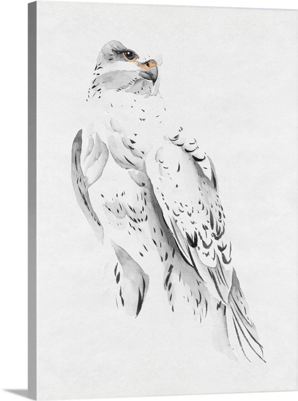 Gyrfalcon II | Great Big Canvas