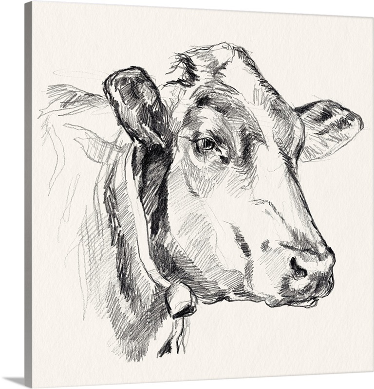 Holstein Portrait Sketch I Wall Art, Canvas Prints, Framed Prints, Wall ...