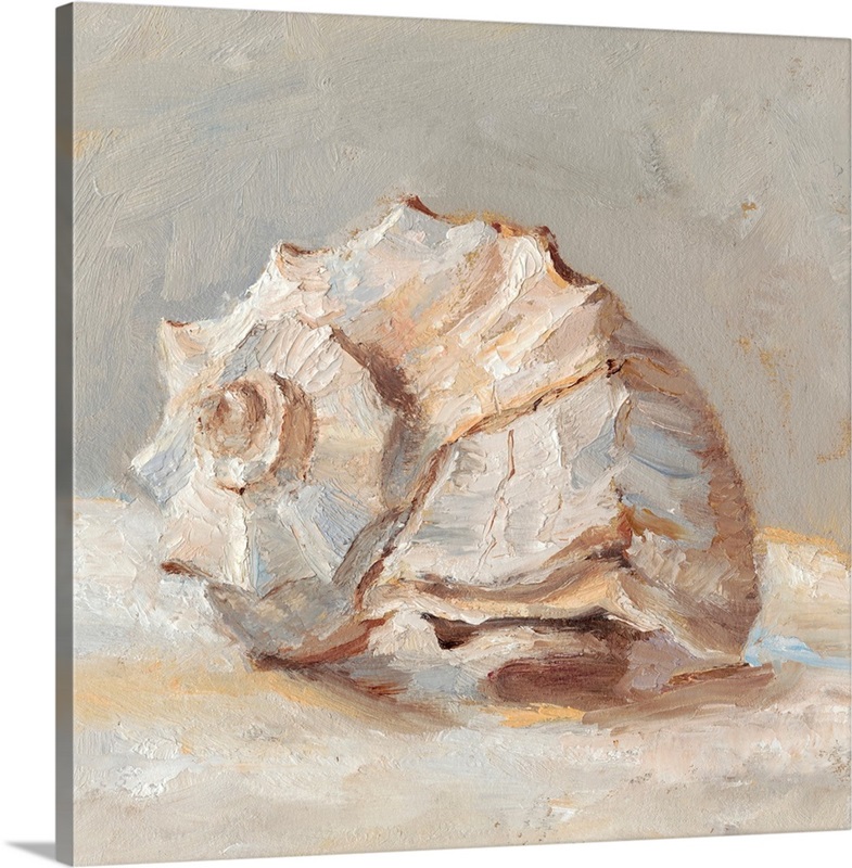 Impressionist Shell Study II | Great Big Canvas