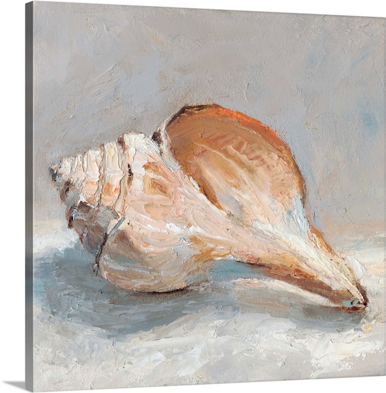 Impressionist Shell Study III | Great Big Canvas