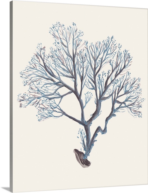 Indigo Reef III | Great Big Canvas