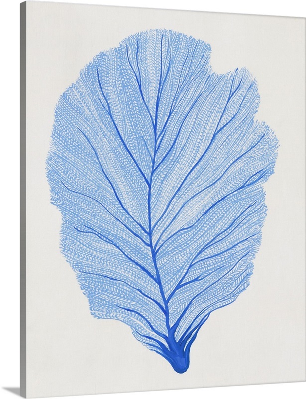 Indigo Sea Fan II | Great Big Canvas