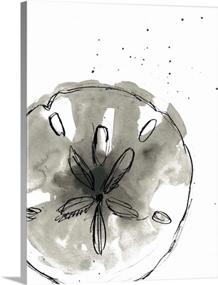 Shells Wall Art & Canvas Prints | Shells Panoramic Photos, Posters ...