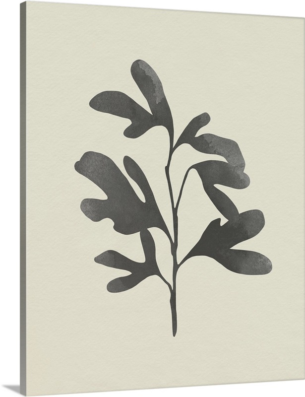 Ink Oak Branch II | Great Big Canvas