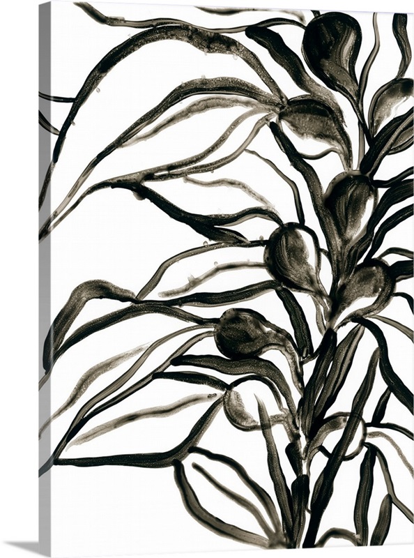 Kelp Contour I Wall Art, Canvas Prints, Framed Prints, Wall Peels ...