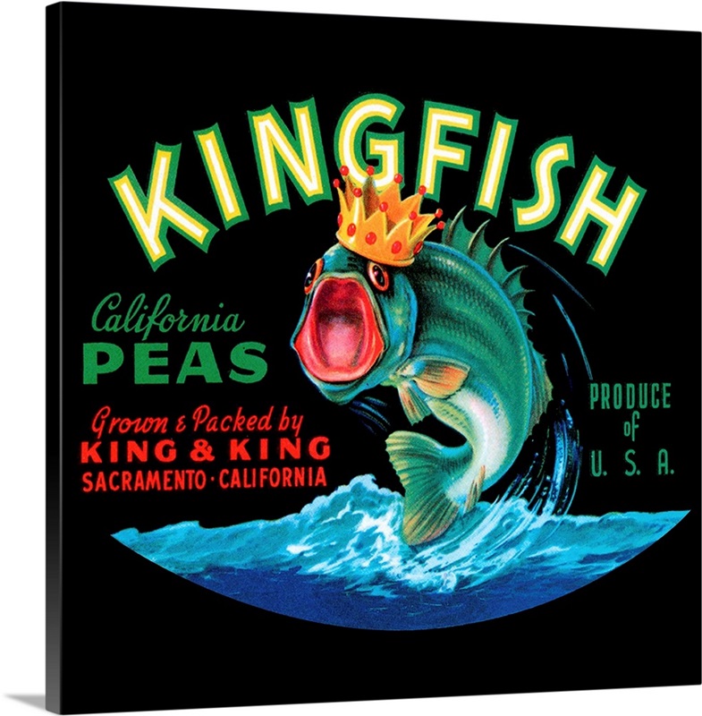Kingfish | Great Big Canvas