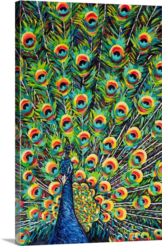 Lavish Peacock I | Great Big Canvas