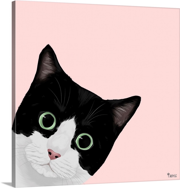 Lazy Sunday Cat II | Great Big Canvas