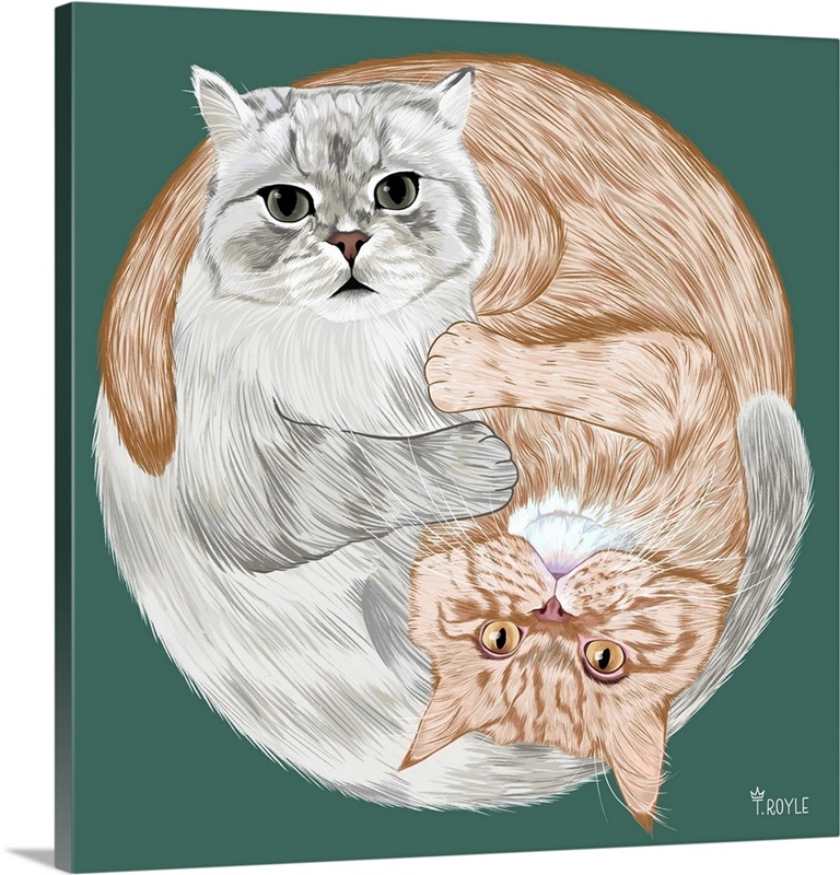 Lazy Sunday Cat III | Great Big Canvas
