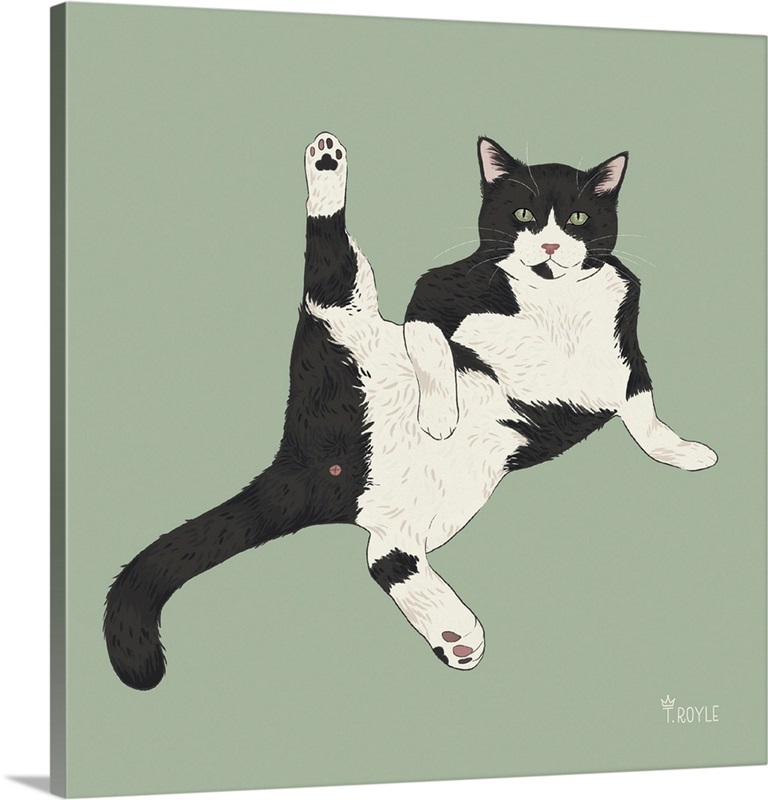 Lazy Sunday Cat V | Great Big Canvas